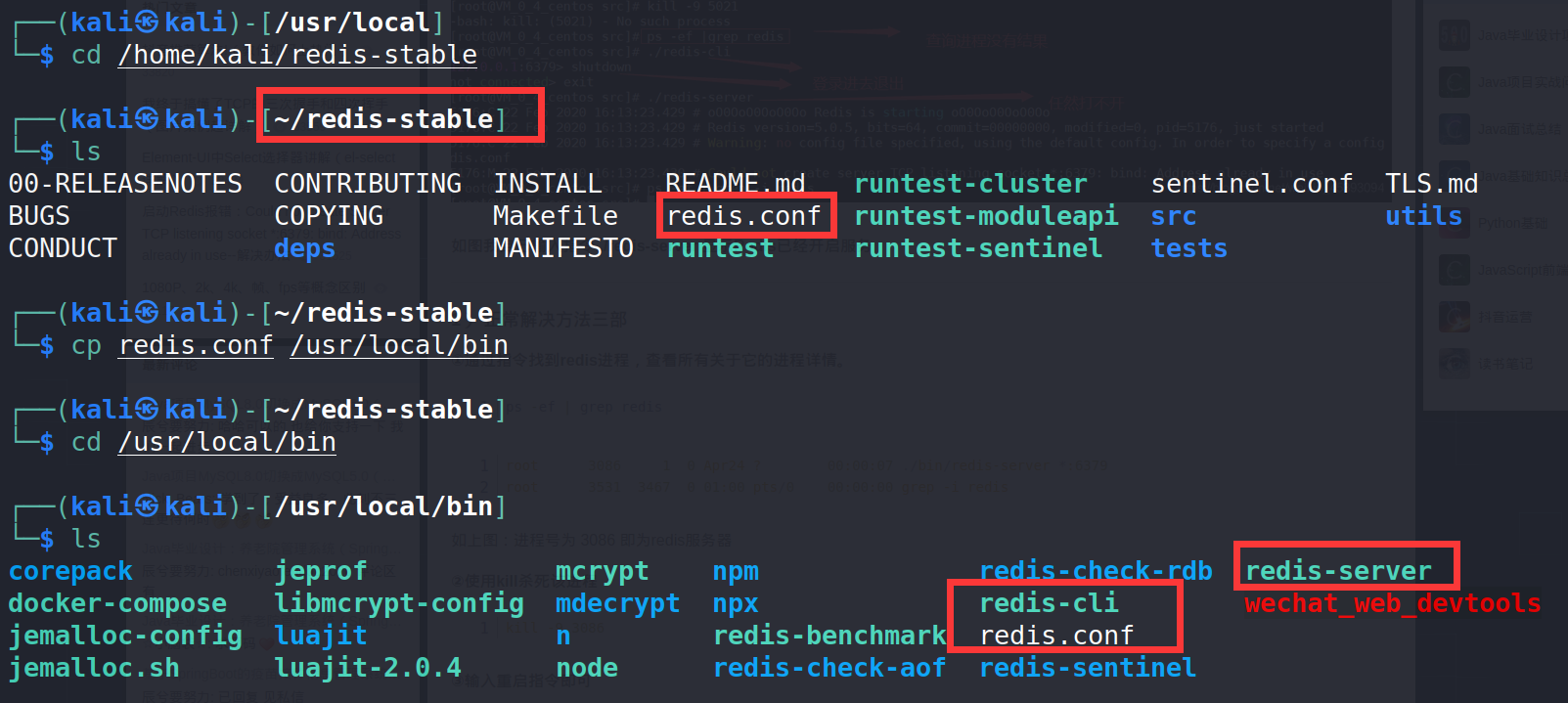 linux(kali)安装了redis，却无法启动redis-server的解决办法_linux重启后redis无法启动了-CSDN博客