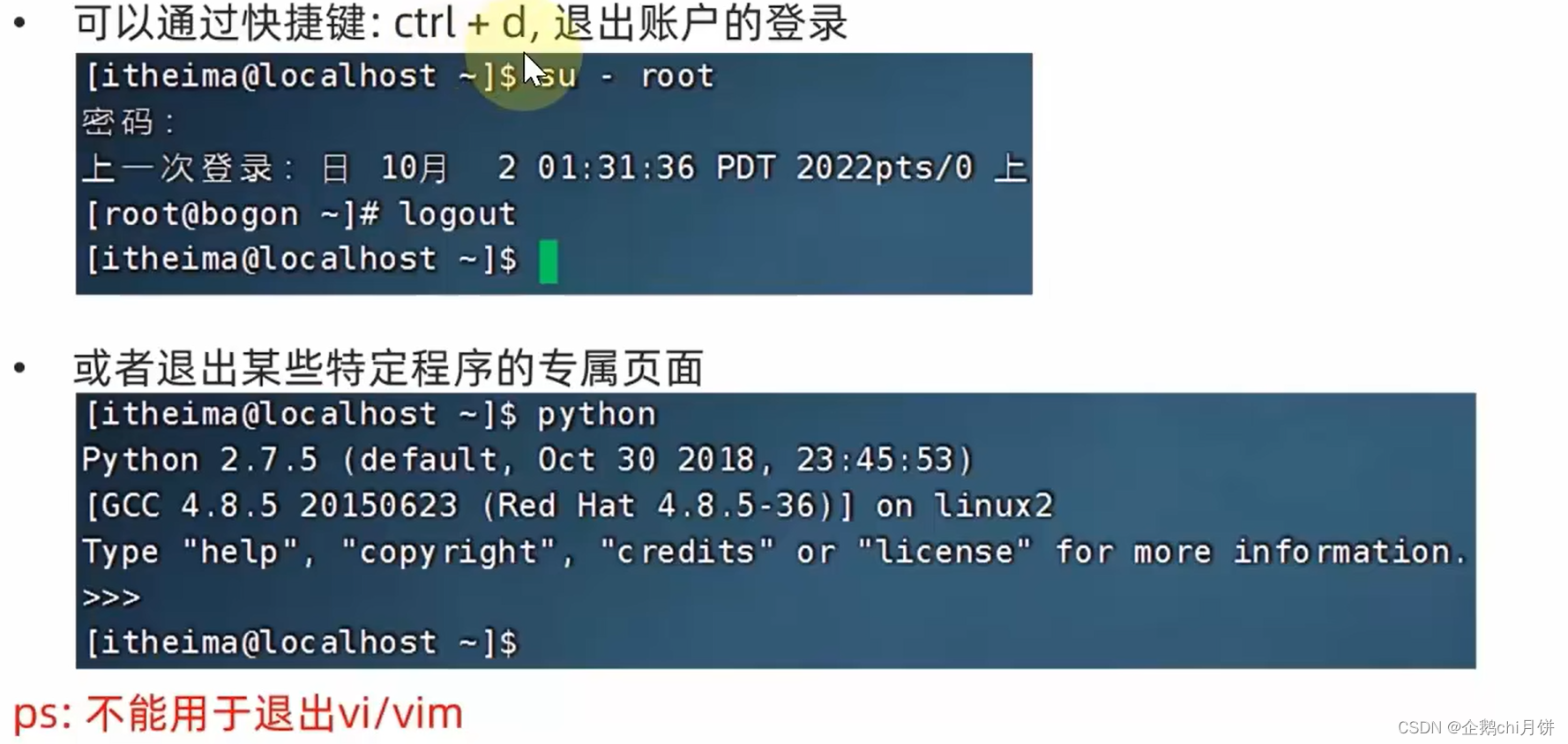 Linux命令进一步学习：which，find，grep，管道符，echo，tail，重定向符，Vim编辑器详细介绍，终端快捷键和小技巧_which echo-CSDN博客