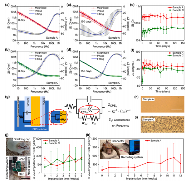 极具应用潜力的ECoG电极：基于PDMS的柔性电极，可用于长期体内记录-CSDN博客