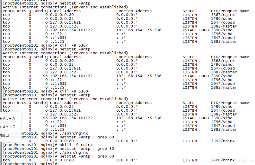 Nginx配置与优化-CSDN博客