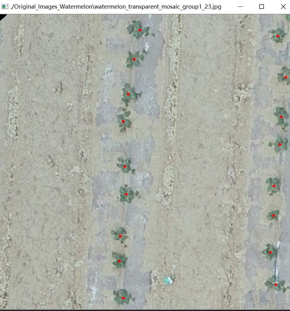 FSC147数据集格式解析-CSDN博客