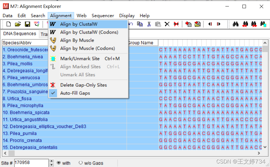 构建系统发育树~序列对比 MEGA、MAFFT（图文教程）_mega计算序列相似度-CSDN博客