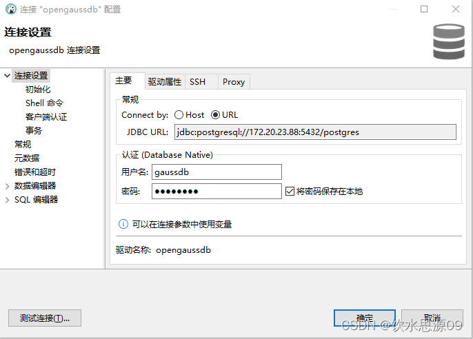 dbeaver中配置连接openGauss_dbeaver连接opengauss-CSDN博客