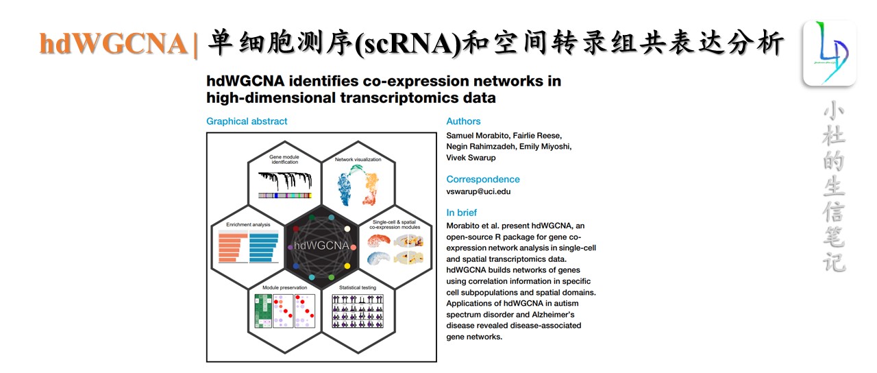 hdWGCNA包， scRNA和空间转录组分析-CSDN博客