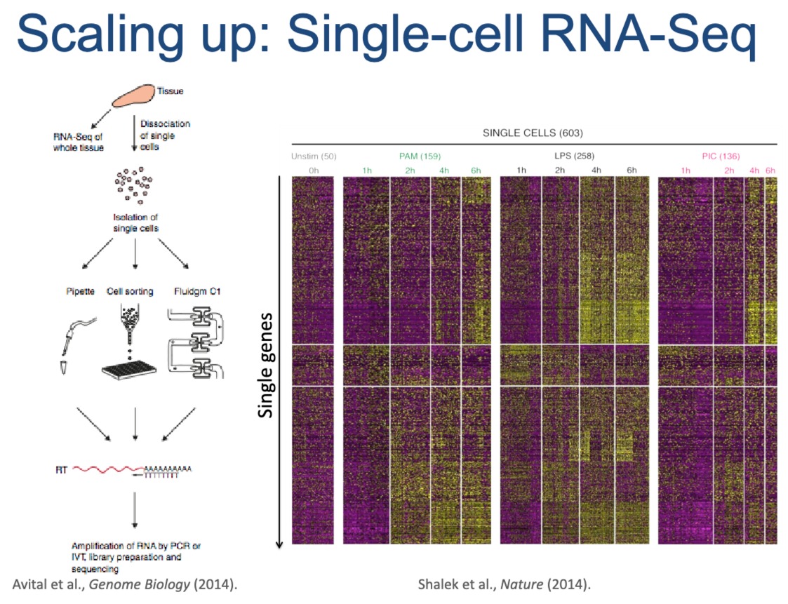 【Single Cell Genomics】Part1 单细胞基因组学_scatac-seq和scrna-seq区别-CSDN博客