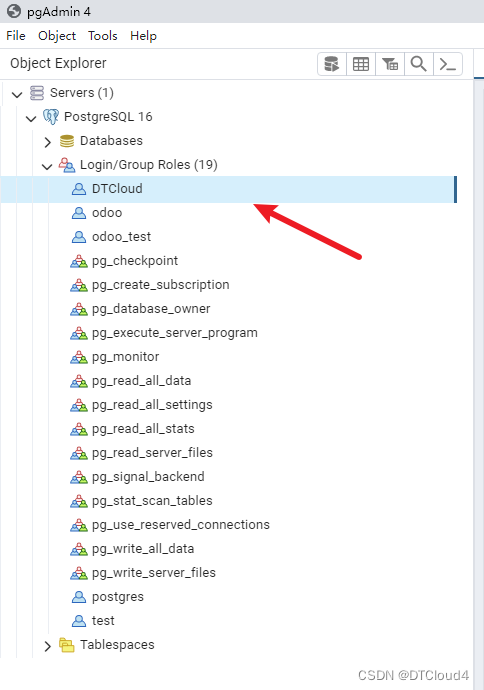 第一节 DTCloud 4配置-CSDN博客