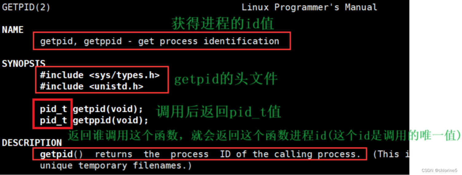 Linux——系统调用(标识符pid/ppid)or创建子进程(fork)_linux pid-CSDN博客