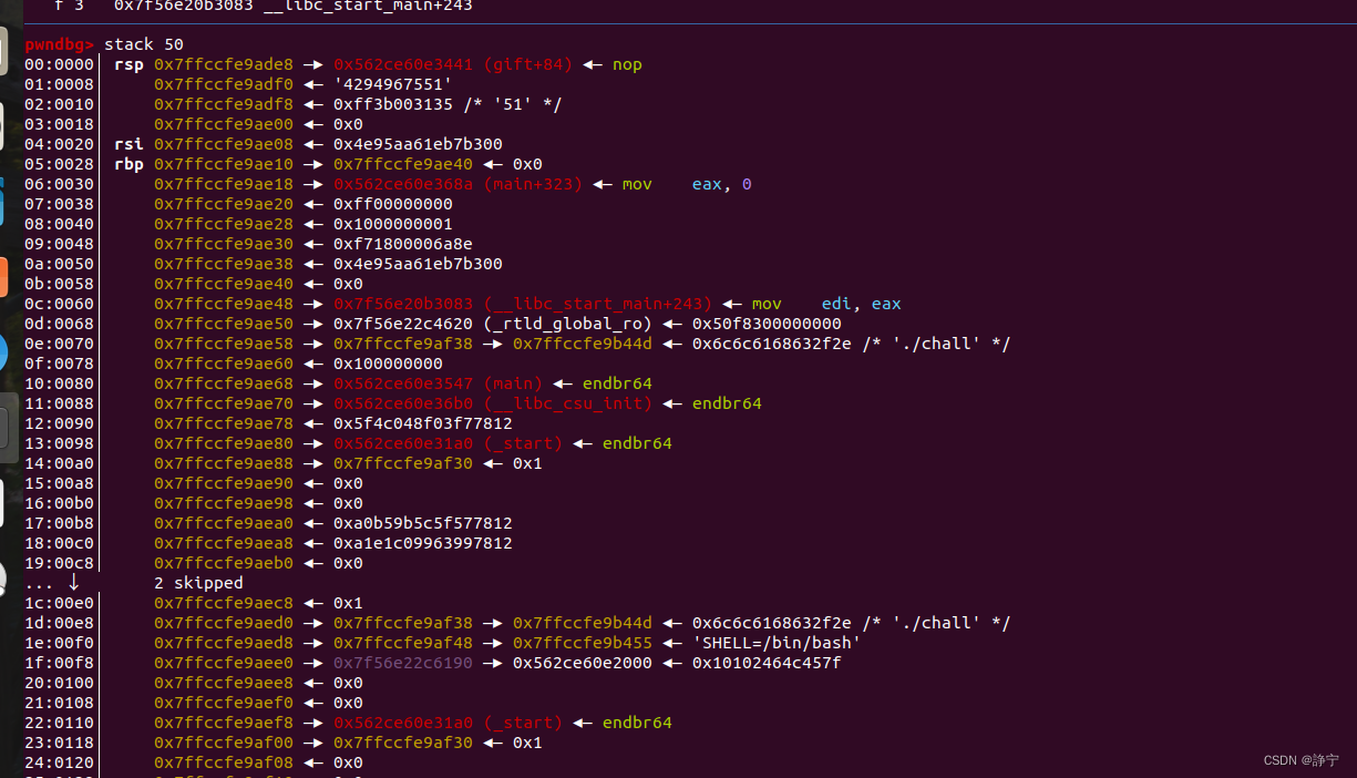 canary保护，pie，保护全开类型-CSDN博客