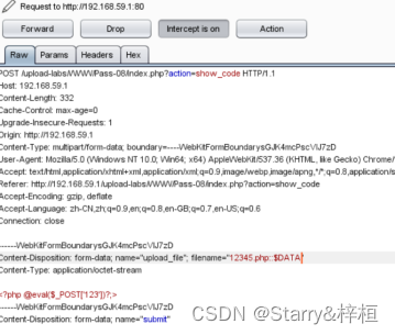 upload-labs靶场(4-12）-CSDN博客