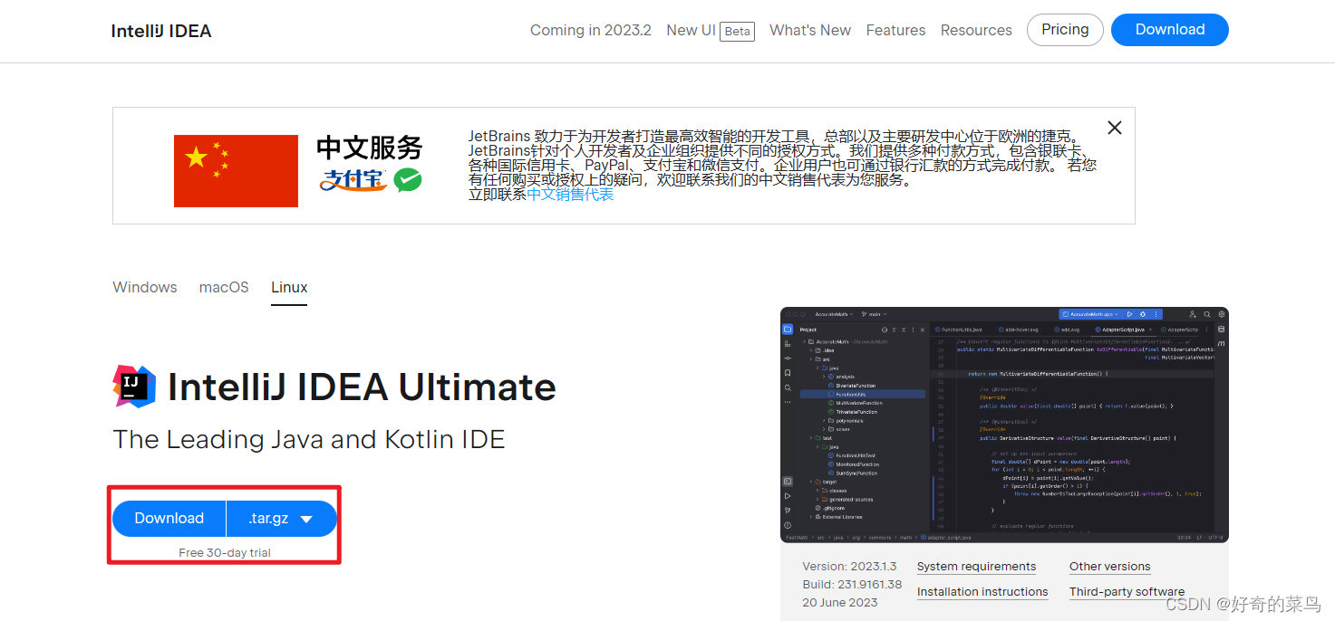 在WSL2中安装IntelliJ IDEA开发工具_idea wsl2-CSDN博客
