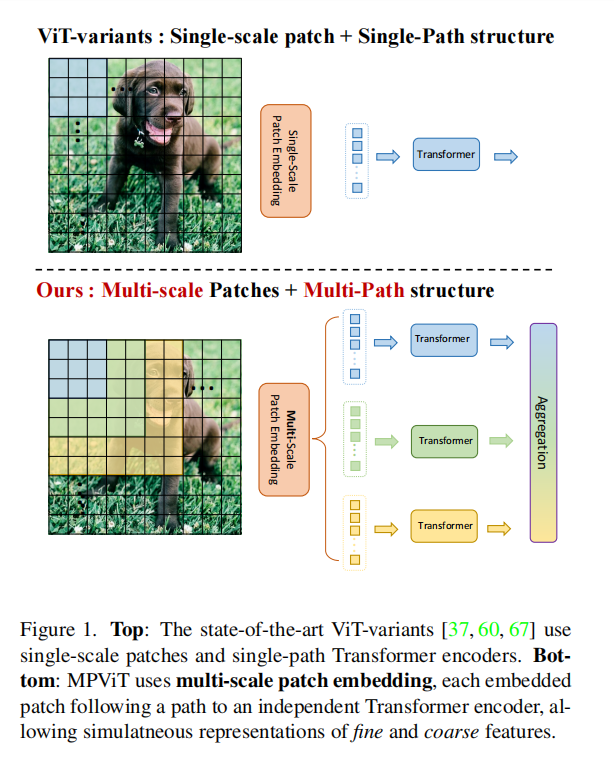 MPViT : Multi-Path Vision Transformer for Dense Prediction详解-CSDN博客