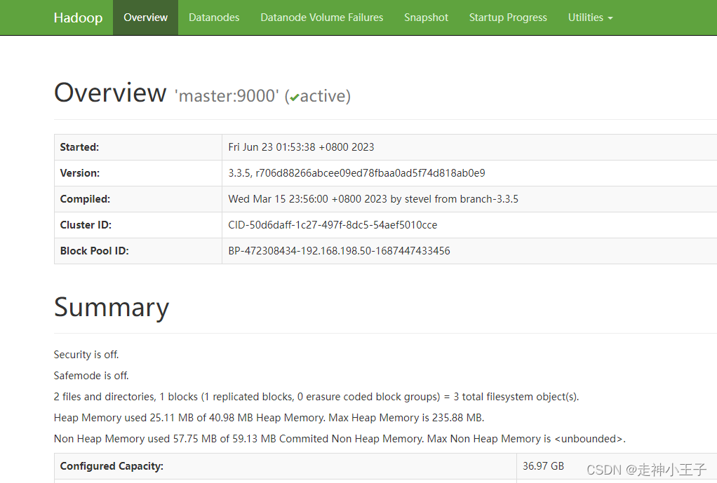 最高版本linux配置jdk，hadoop一条龙_jdk高版本限制hadoop-CSDN博客