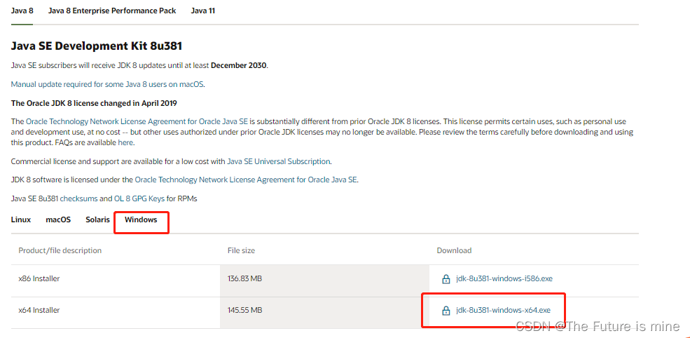 Windows下升级jdk1.8小版本_windows jdk升级-CSDN博客