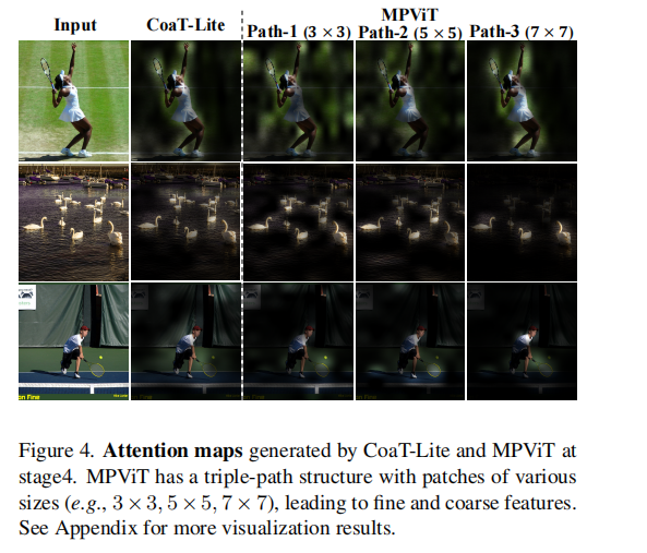 MPViT : Multi-Path Vision Transformer for Dense Prediction详解-CSDN博客