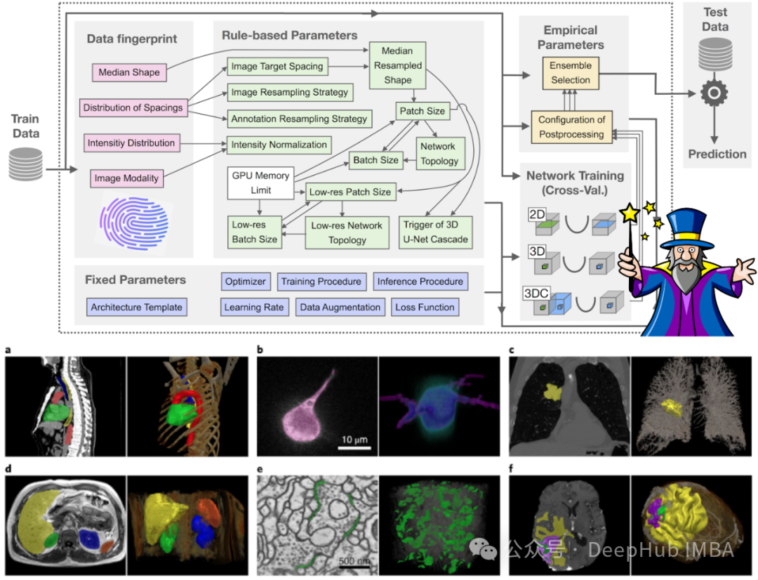 CNN依旧能战：nnU-Net团队新研究揭示医学图像分割的验证误区，设定先进的验证标准与基线模型_nnunet resenc-CSDN博客