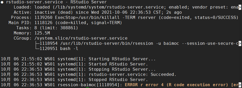 Ubuntu 服务器安装远程 Rstudio（图文详解）_为什么rstudio怎么和ubuntu链接使用-CSDN博客