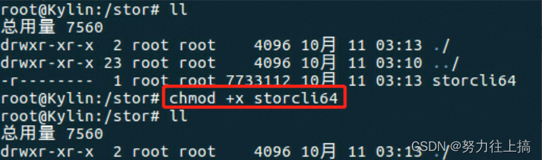 使用storcli/storcli64工具配置RAID-CSDN博客
