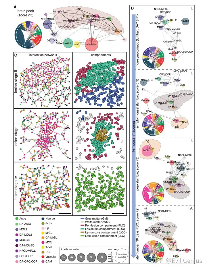 空间转录组网络图的分步绘制(Xenium)-CSDN博客