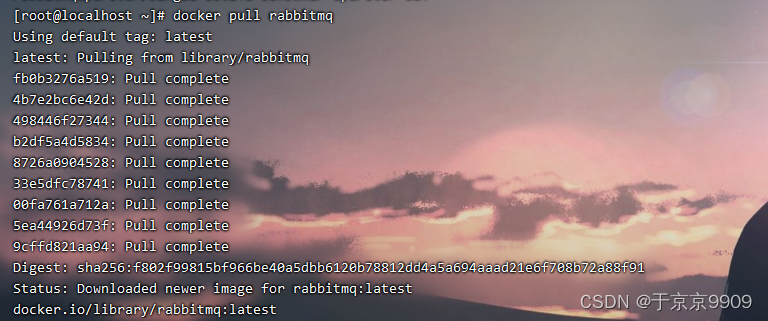 Docker安装rabbitmq Rabbitmq Docker 安装 Csdn博客
