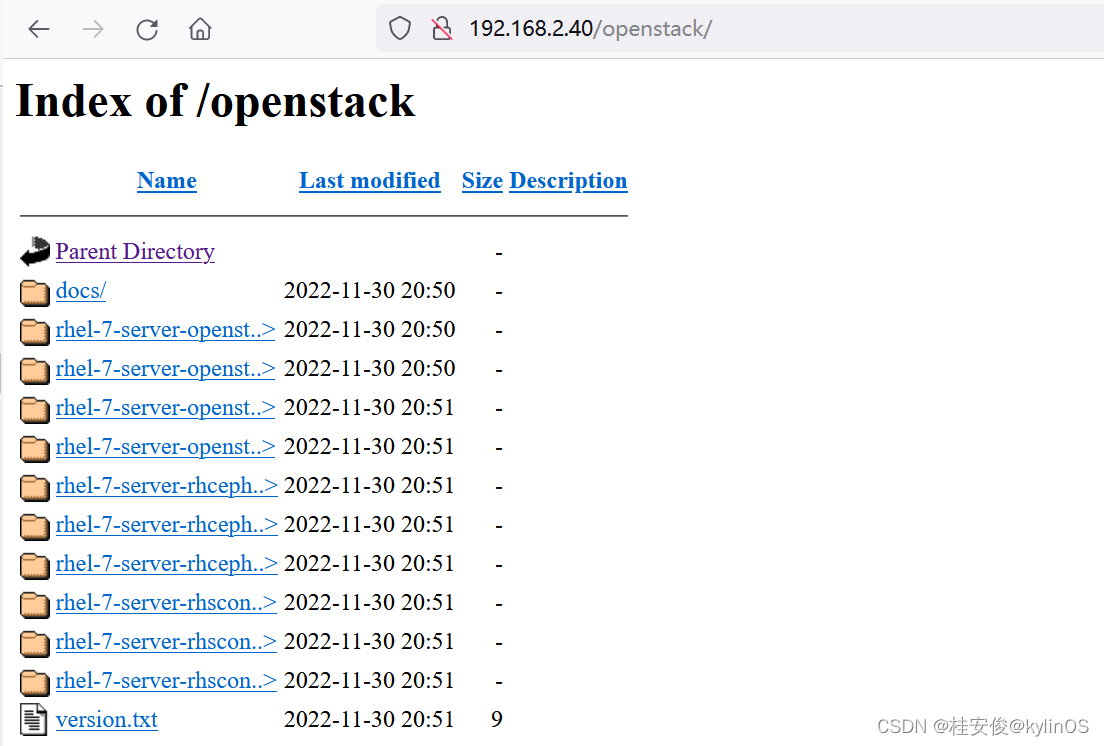 02_openstack私有云部署_opentack私有云平台软件包-CSDN博客