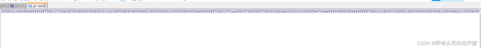结合编辑器和PDFXplorer工具查看PDF文件结构-CSDN博客