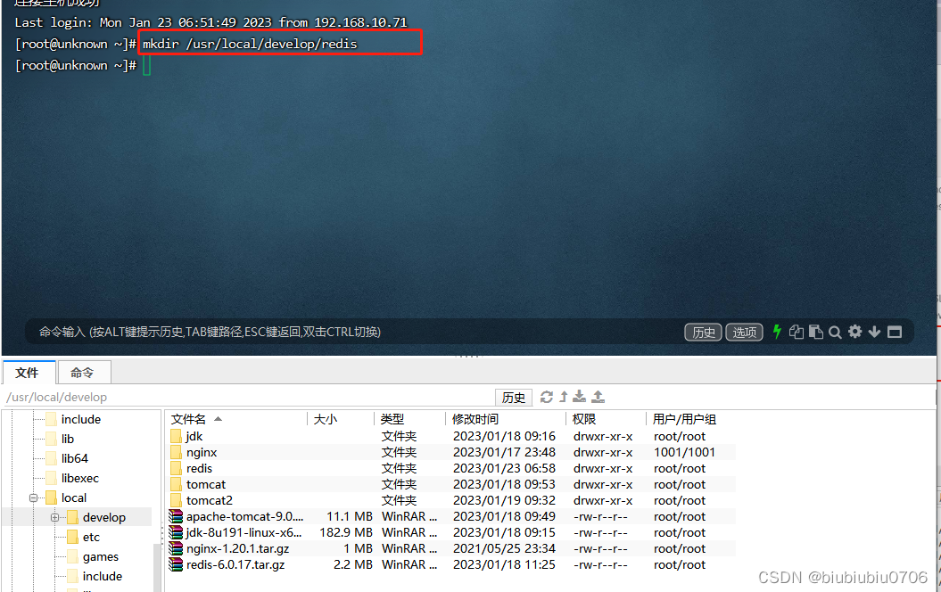 Linux安装Redis_redis安装6.0.17-CSDN博客