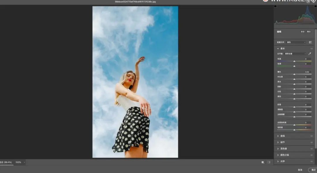 PS Raw增效工具：Camera Raw 16 for mac 中文版-CSDN博客