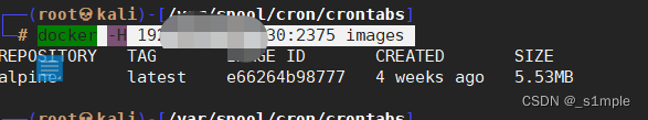 漏洞复现 Docker Unauthorized Rcedocker Api Unauthorized Rce Csdn博客