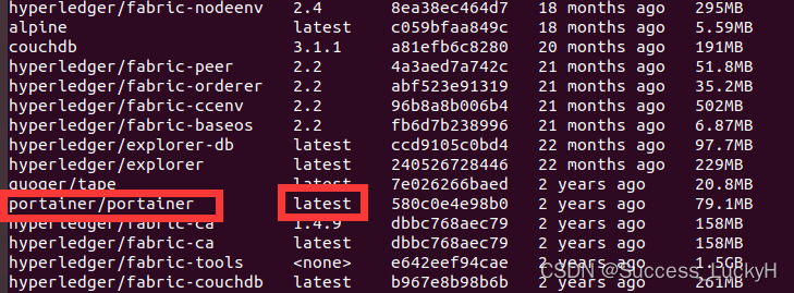 Hyperledger Fabric 超级账本学习【15】安装 Portainer 可视化 Docker 操作_超级账本fabric docker-CSDN博客