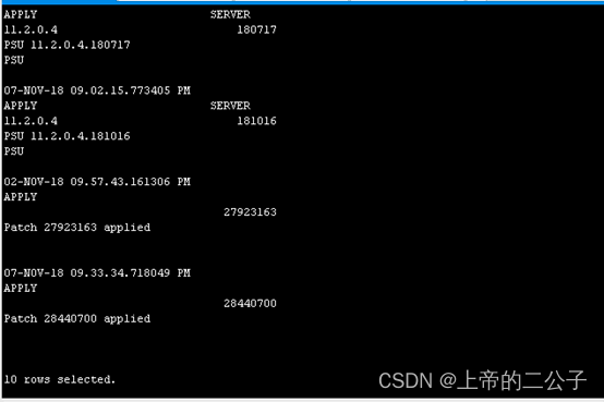 11G RAC PSU-CPU-OJVM补丁升级过程_oracle11g最新补丁-CSDN博客