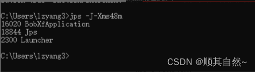 jps命令详解-CSDN博客