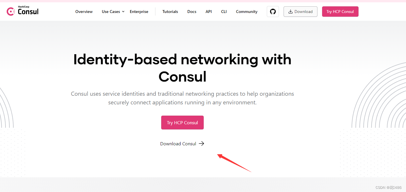 Asp.Net Core 集成Consul (windows)_aspnetcore 如何向consul服务器获取服务-CSDN博客