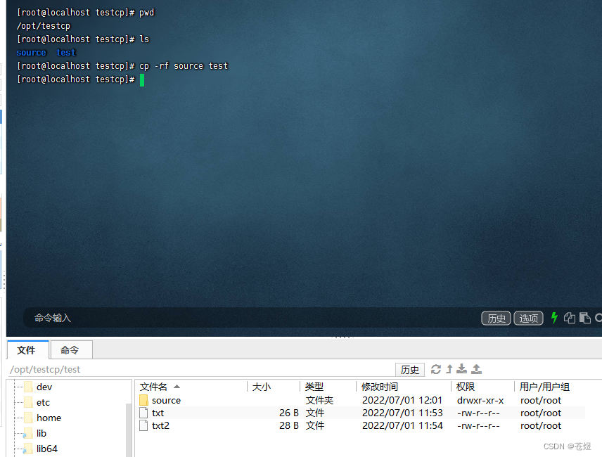 linux常用操作命令中带/和不带的区别_rm -rf dist-CSDN博客
