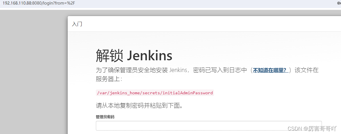 （十八）devops持续集成开发——使用docker安装部署jenkins服务_docker 部署jenkins-CSDN博客