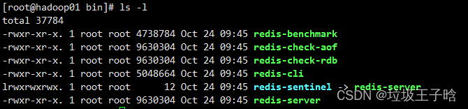 Linux的目录结构与磁盘分区_根目录和家目录的硬盘分区-CSDN博客