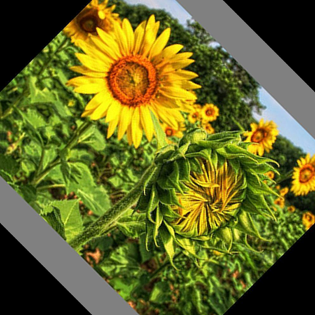 超简单的python-CNN训练识别-含数据集+pyqt界面_cnn 代码 下载 python代码-CSDN博客