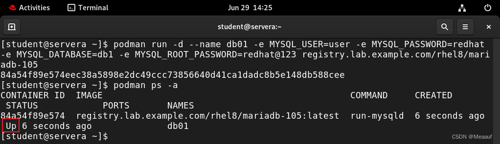 RedHat9 | podman容器-续集_podman netavark-CSDN博客