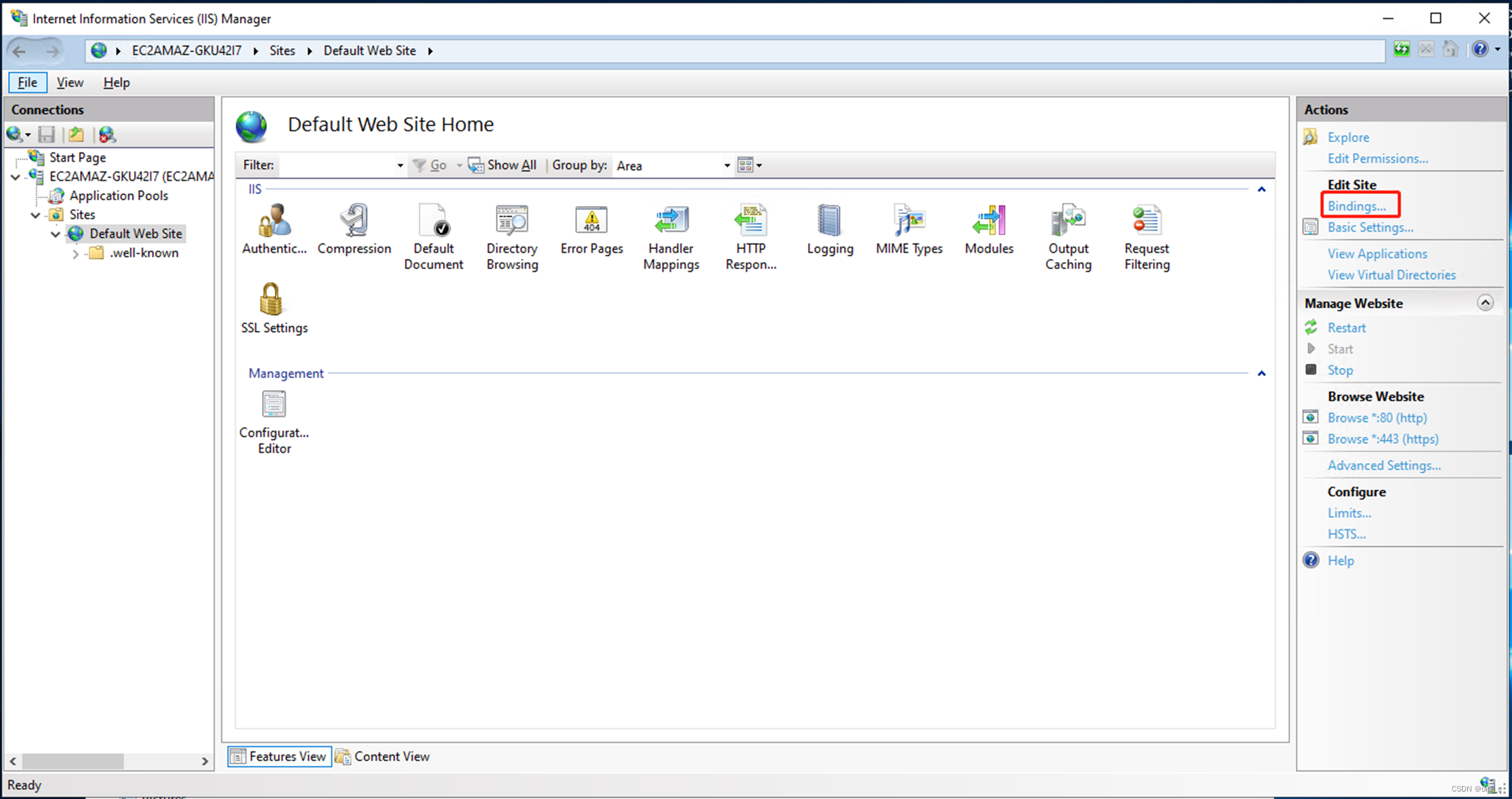 使用ZeroSSL免费SSL给IIS配置Https证书-CSDN博客