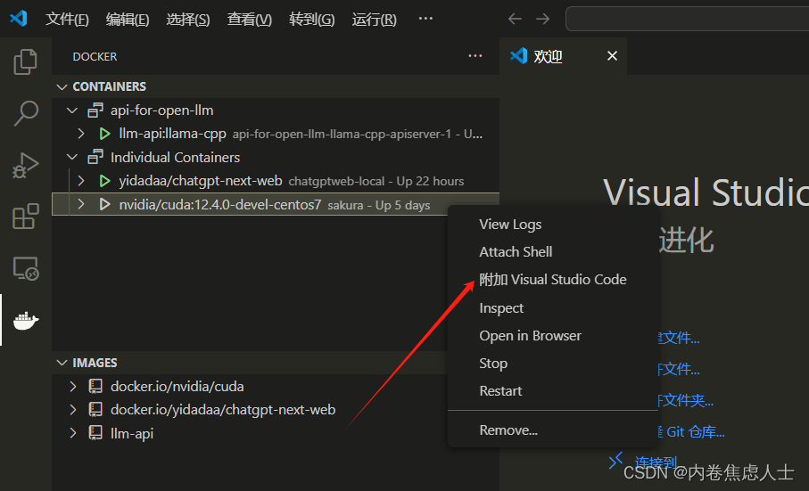 【超级简单】vscode进入服务器的docker容器_vscode 进入docker-CSDN博客