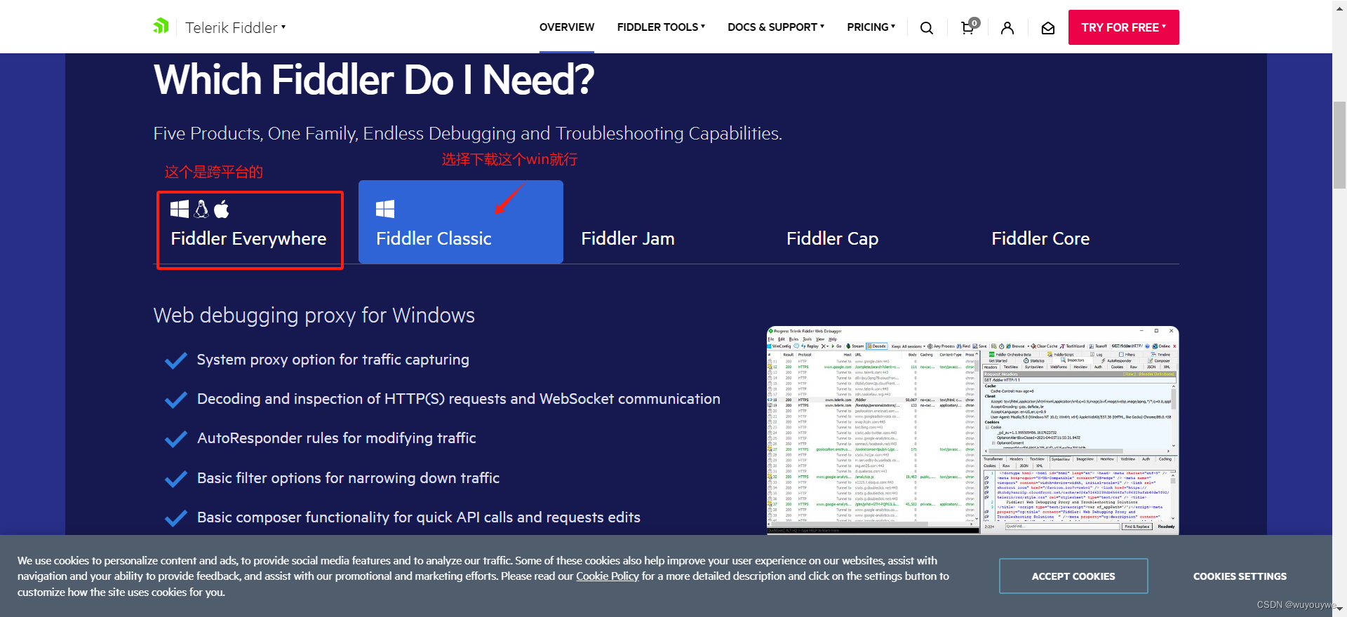fiddler的下载、安装-CSDN博客