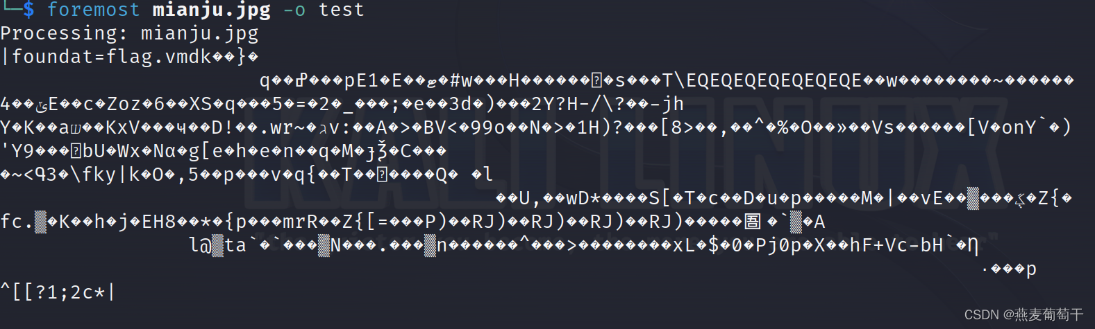 CTF-MISC：BUUCTF练习汇总（26-40题）_buuctf webshell-CSDN博客