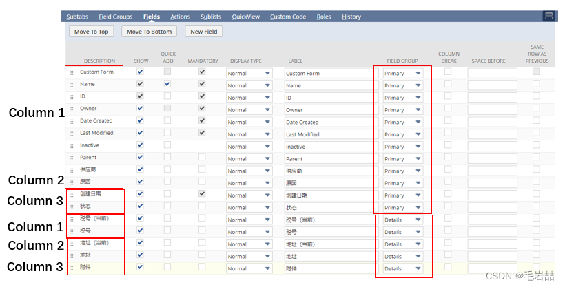 NetSuite定制表格布局的要点_net suite 自定义表效率-CSDN博客