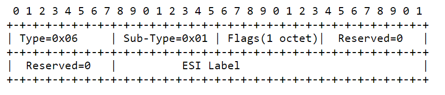 EVPN 路由之Type1 per ESI_ethernet segment identifier-CSDN博客