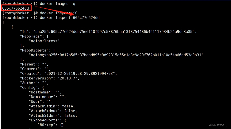 docker 基本命令_docker基本命令-CSDN博客