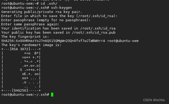 Linux ubuntu20.04 root密钥登录教程（图文教程）_wsl ubuntu20.04 xshell 密码登录-CSDN博客
