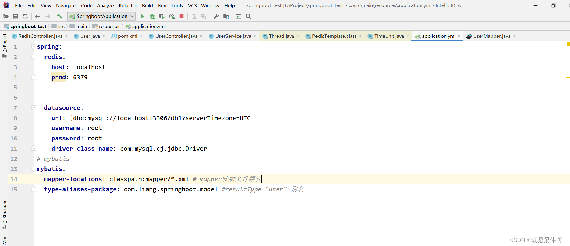 Springboot整合Redis，JUnit_springboot junit redis测试-CSDN博客
