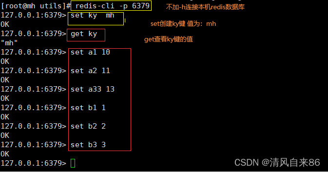 Redis介绍、安装、性能优化_redis-benchmark install-CSDN博客