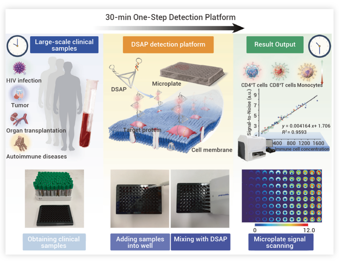 文献速递 | 大家都用 MCE 产品做了啥? (免疫及炎症领域) - MedChemExpress_引用mce-CSDN博客