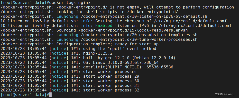 Docker 的数据管理与网络通信以及Docker镜像的创建_dockers构建镜像,docker通讯问题-CSDN博客