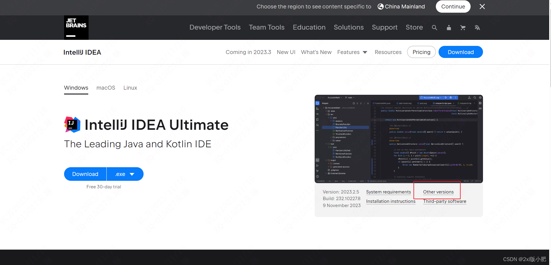 idea下载的版本选择及安装_idea官网怎么选择版本-CSDN博客